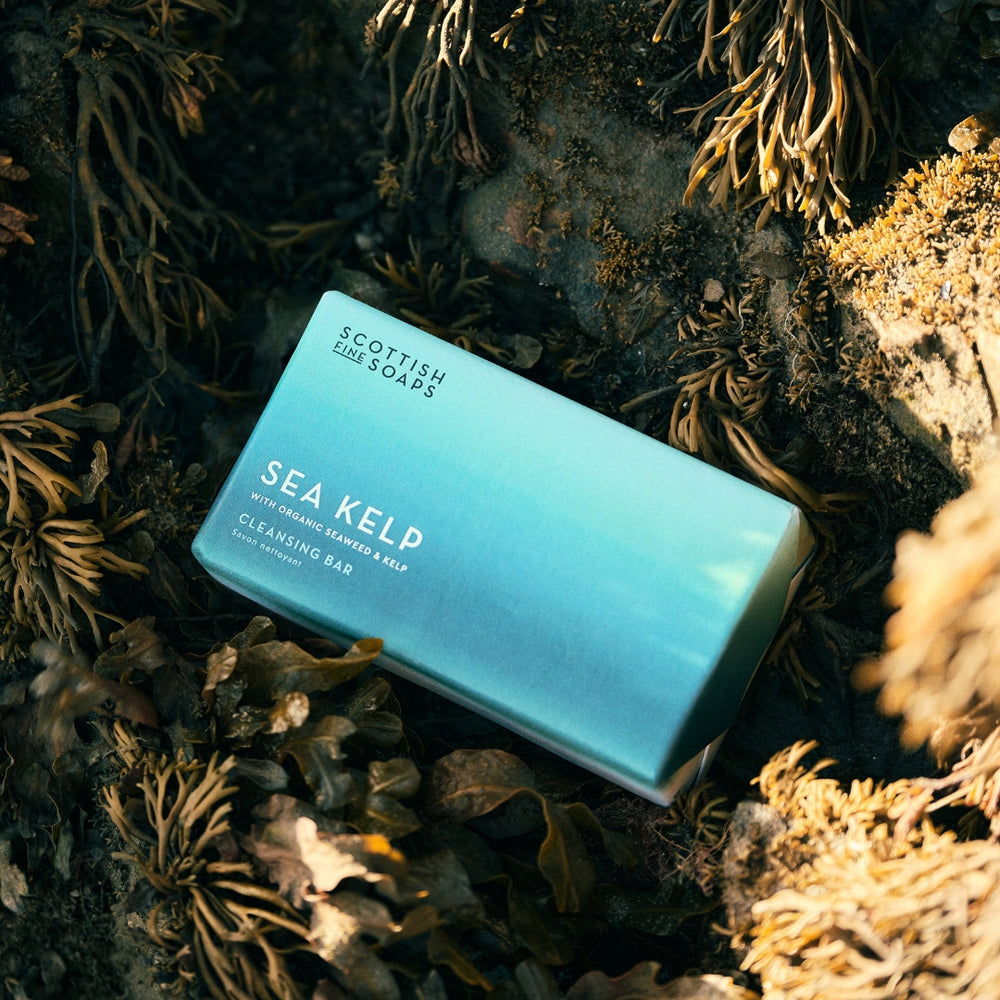 Sea Kelp Collection | Bath, Body & Hand Care | Scottish Fine Soaps